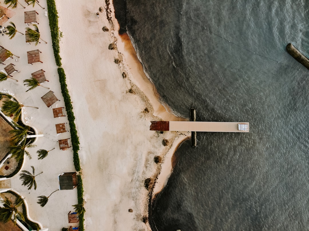 Palm Beach Luxury Real Estate: Market Analysis 2026 - MJI Realty Group